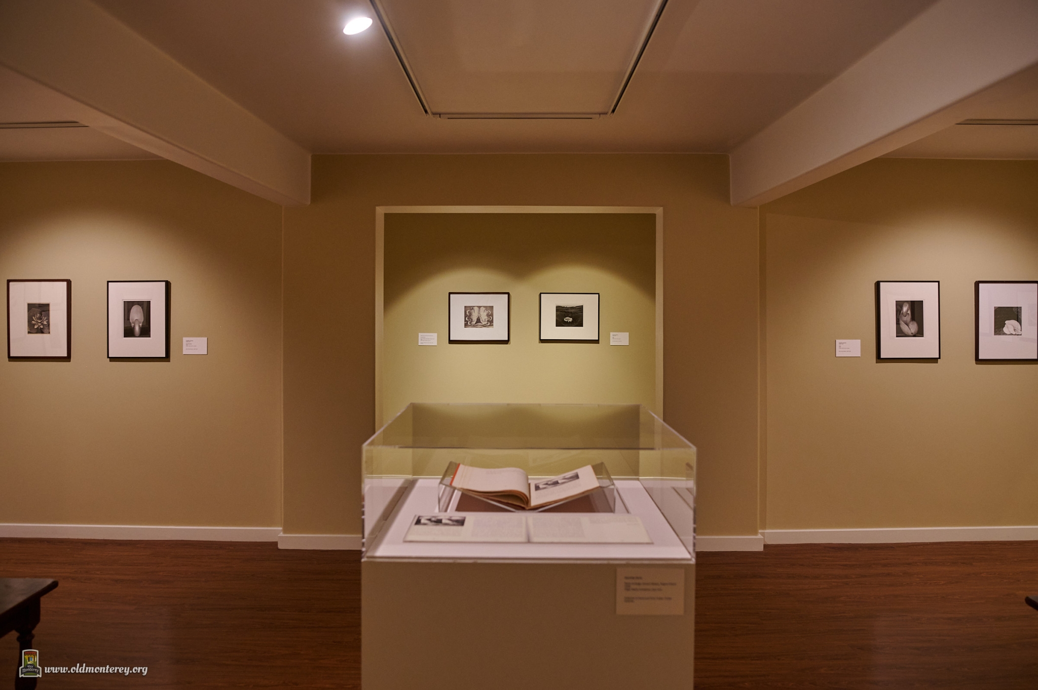 Monterey Museum of Art | Old Monterey