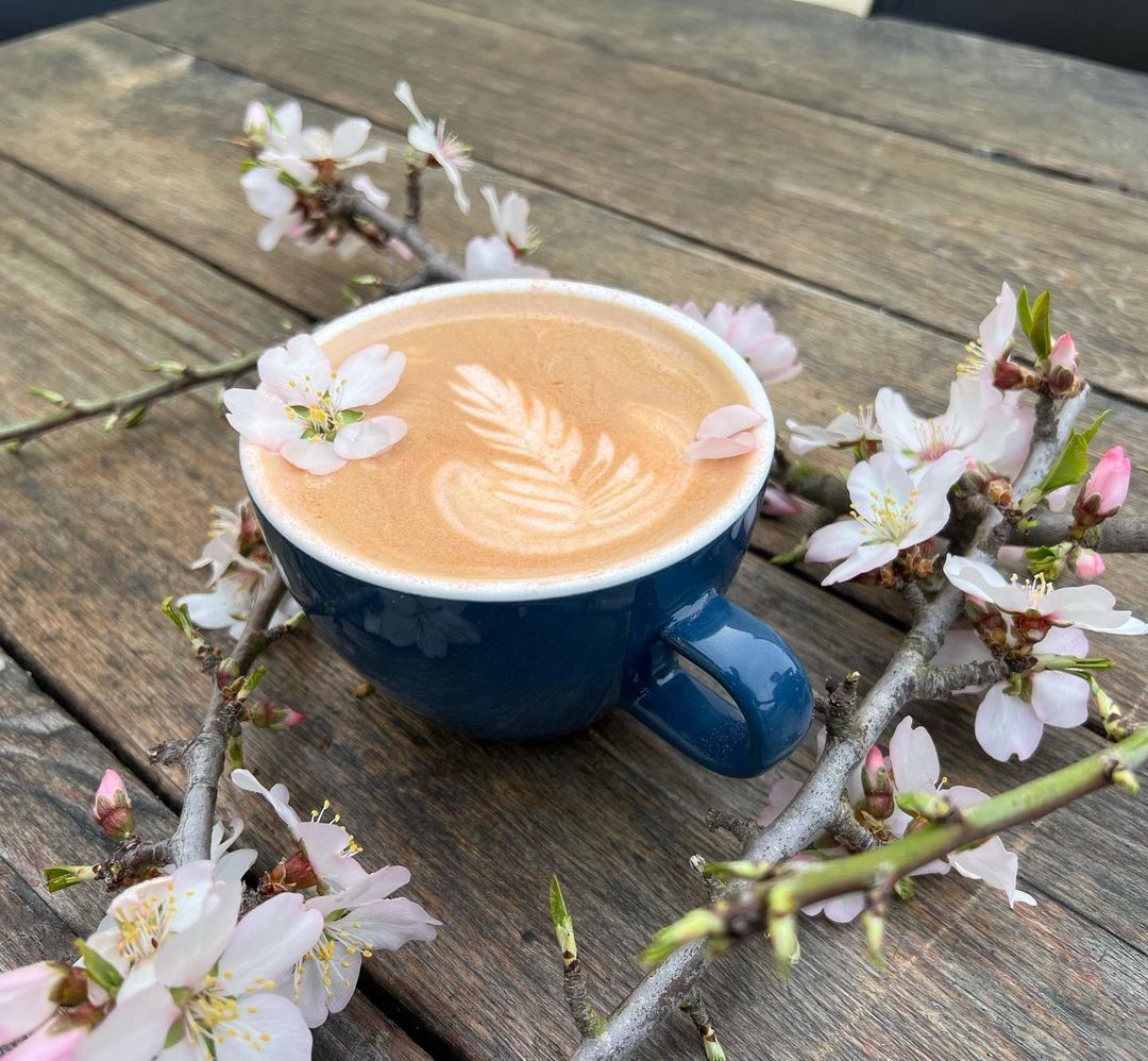 February Drink of the Month at Alta Bakery and Cafe | Old Monterey